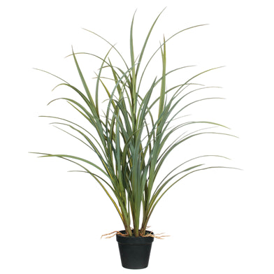 Potted Grass – Brick and Row